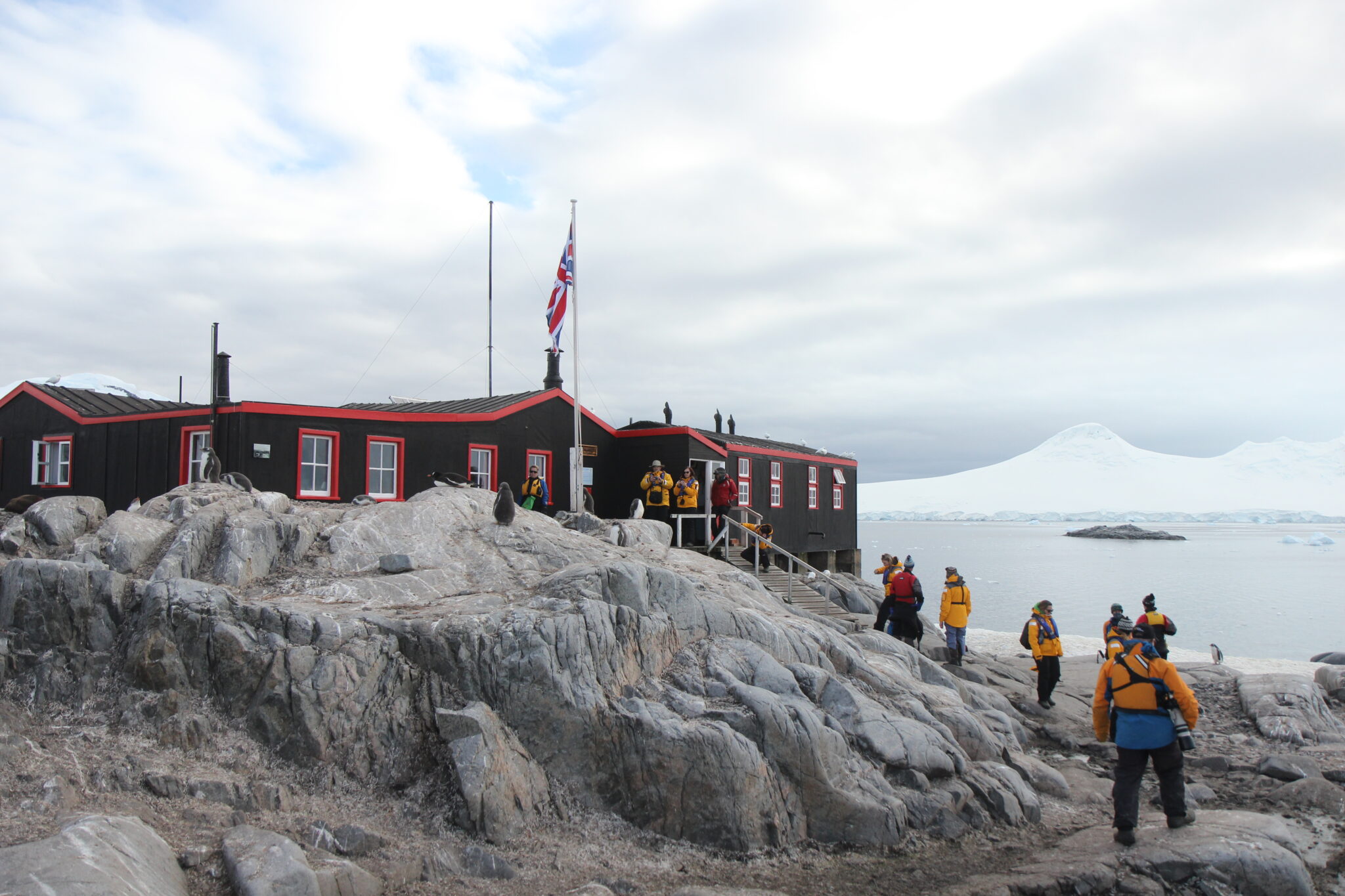 Antarctica Bases to Know! - Freestyle Adventure Travel