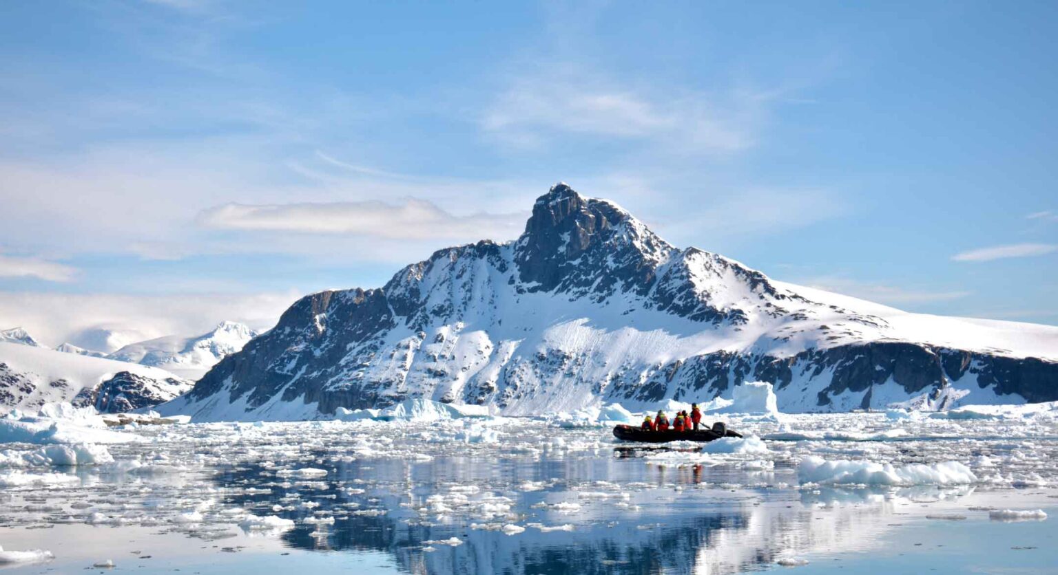 Leopard Seal: the Antarctic apex predator you might encounter on your ...