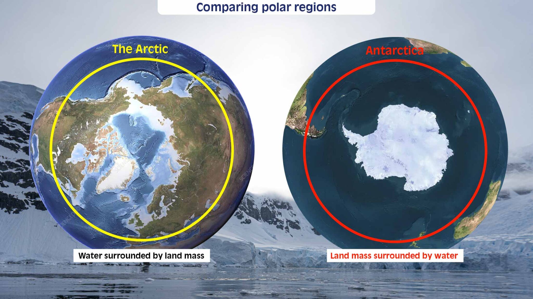 North Pole versus South Pole: A Polar Travel Adventure Guide